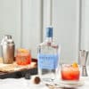 Sloegroni - Hayman's Gin