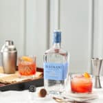 Sloegroni - Hayman's Gin