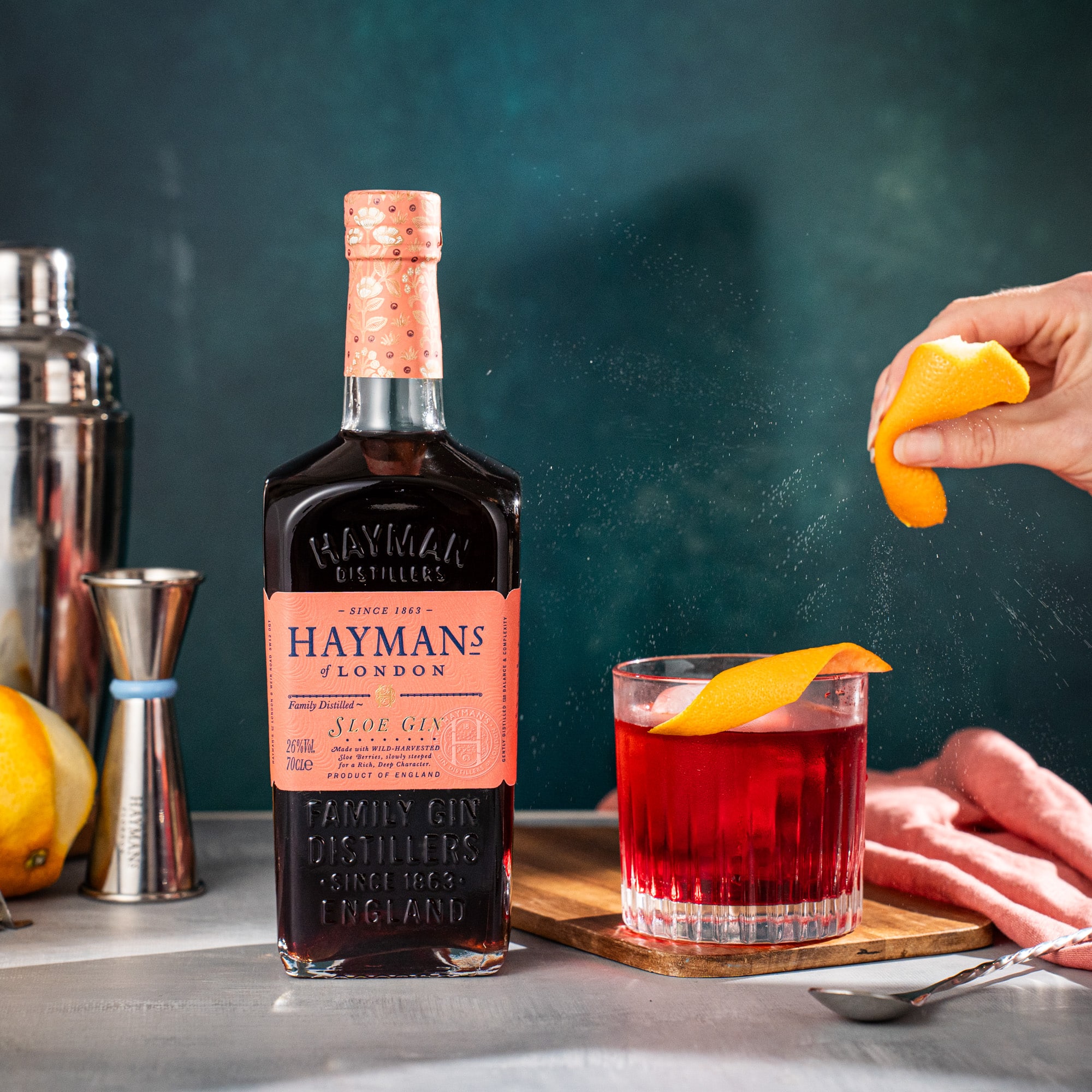Sloegroni - Hayman's Gin