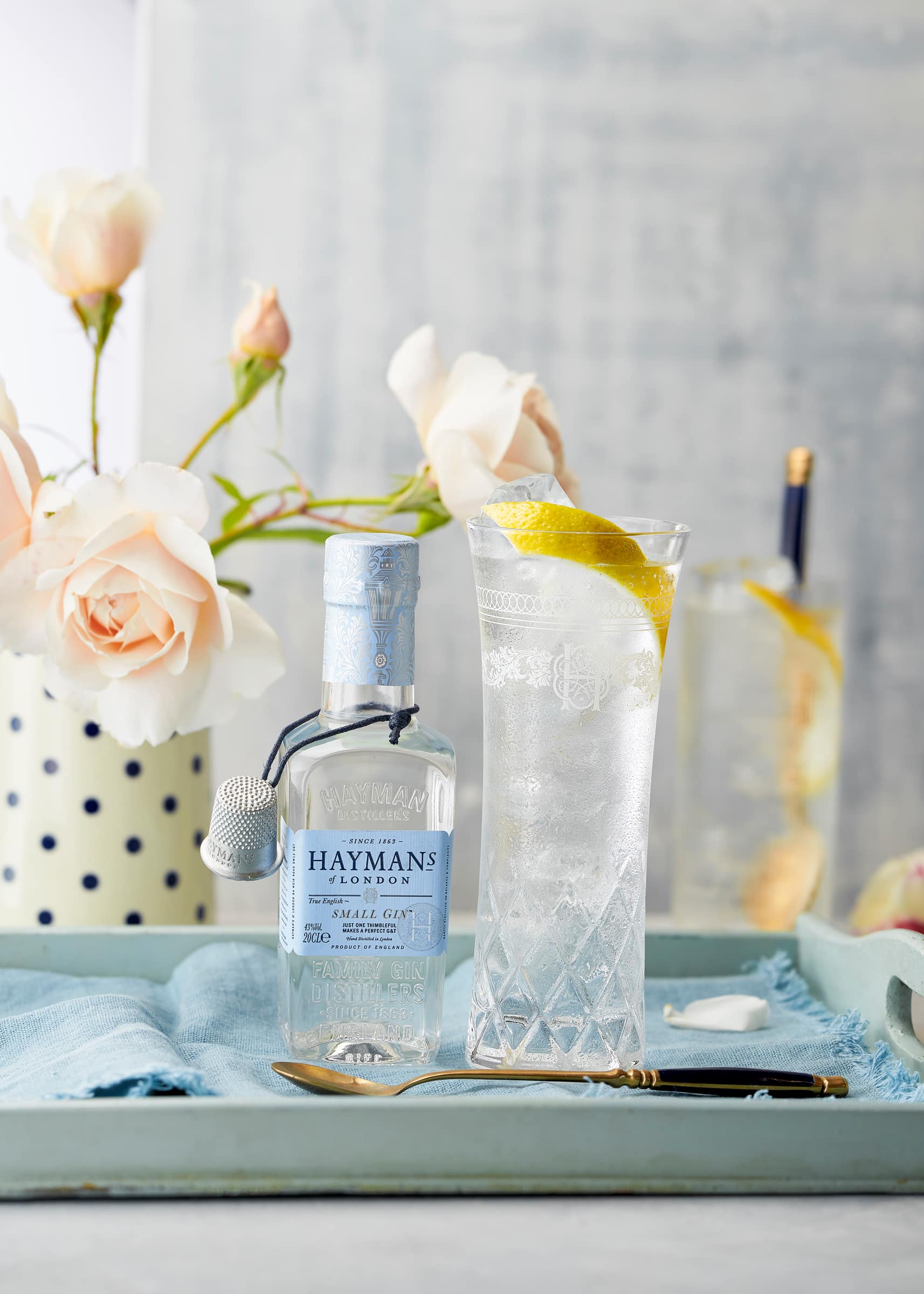 Hayman's Small Gin wins 'Best Gin' - Hayman's Gin