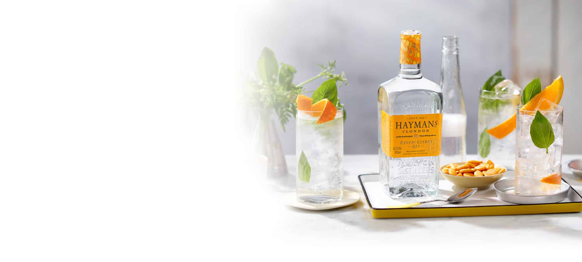 Hayman's Gin - London’s Family Gin Distillery
