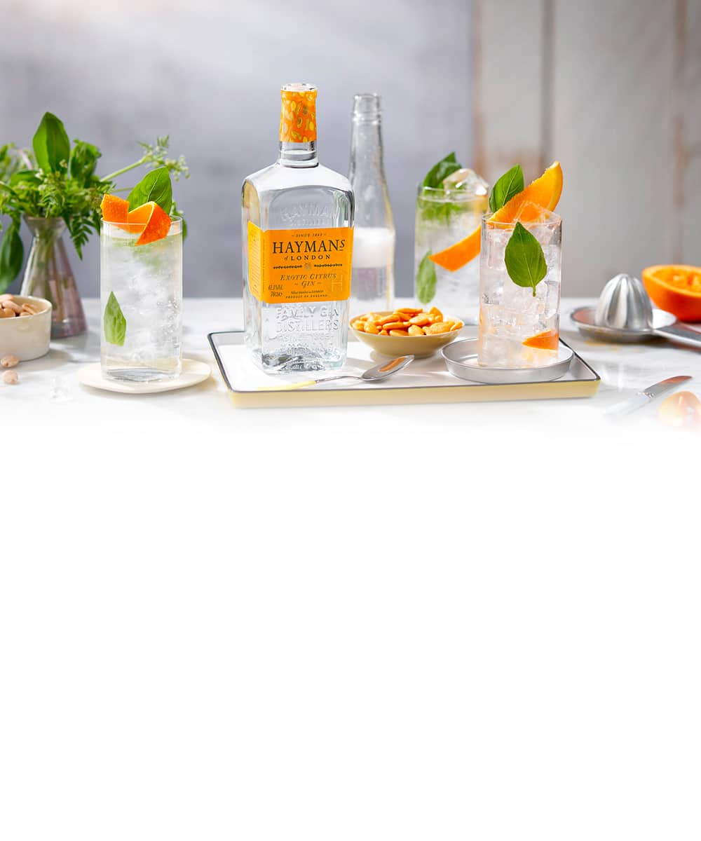Hayman's Gin - London’s Family Gin Distillery