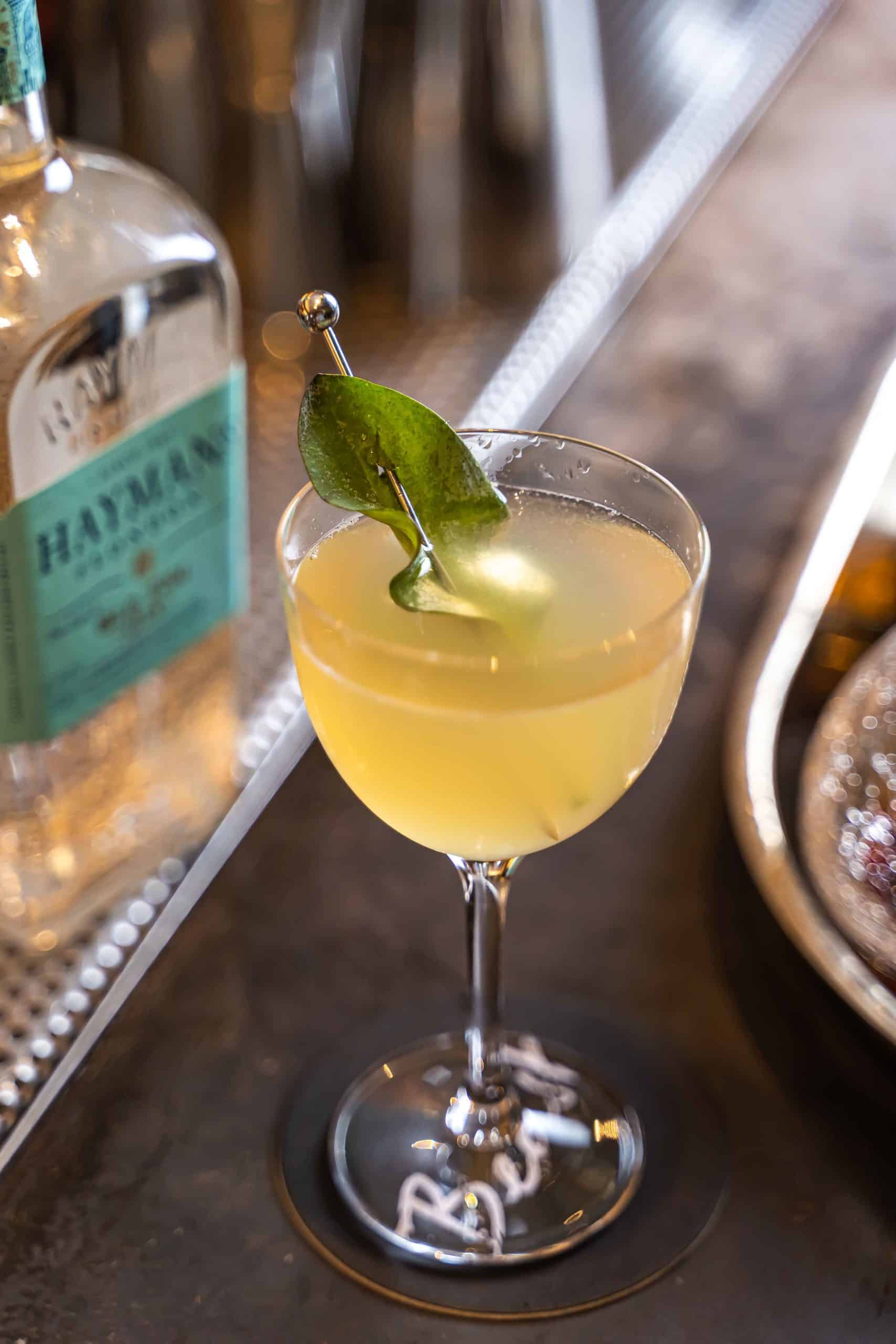 The Beast Martinez - Hayman's Gin