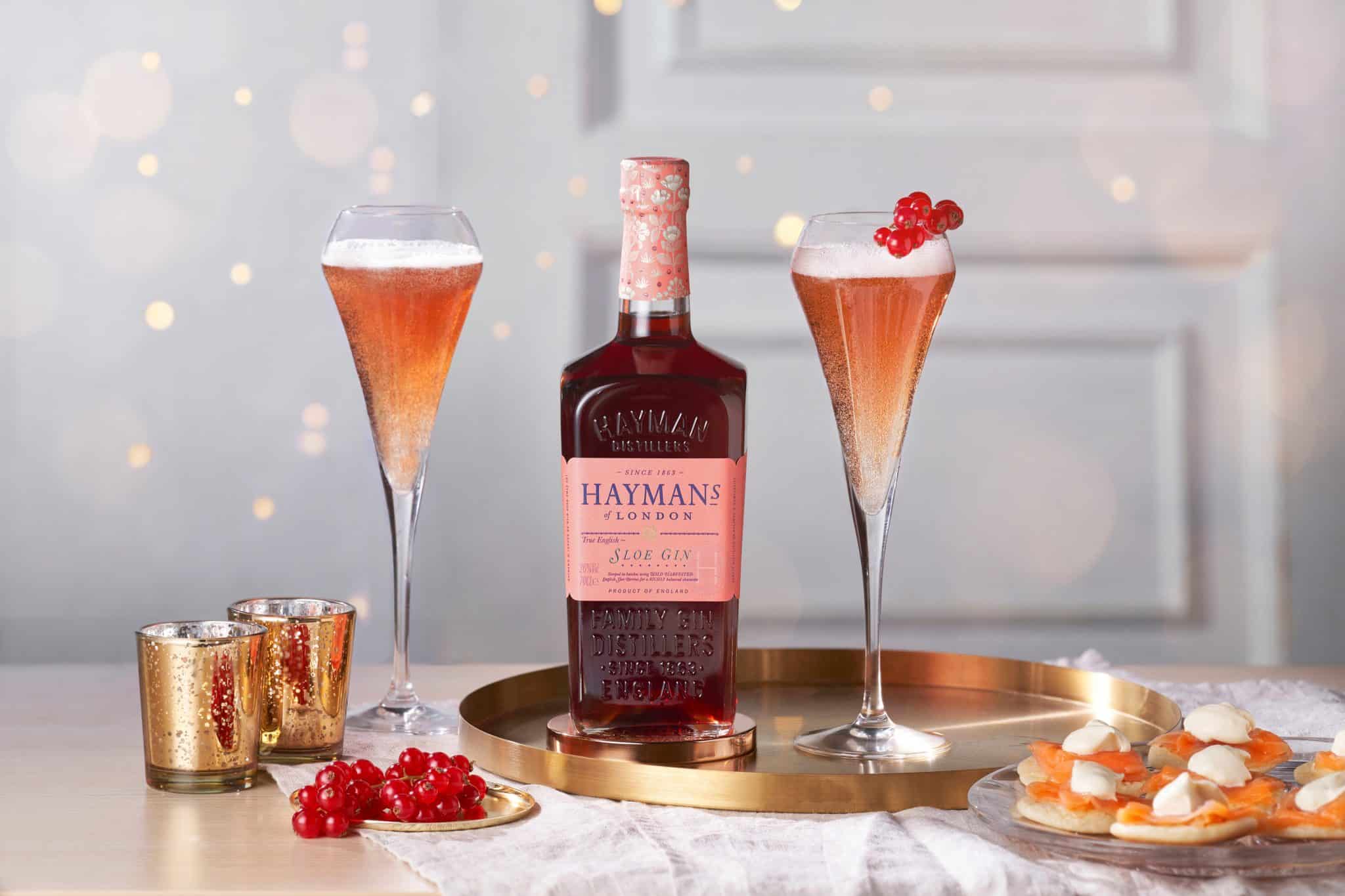 Sloe Gin - Hayman's Gin