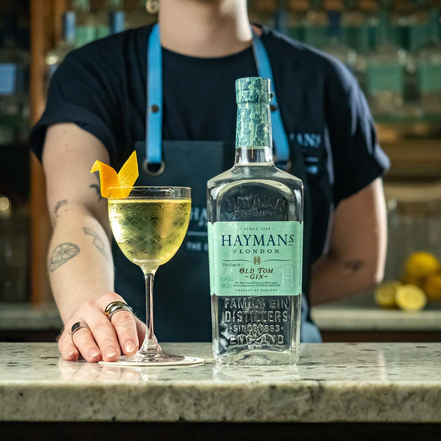 Old Tom Martini - Hayman's Gin