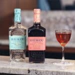 Sloegroni - Hayman's Gin